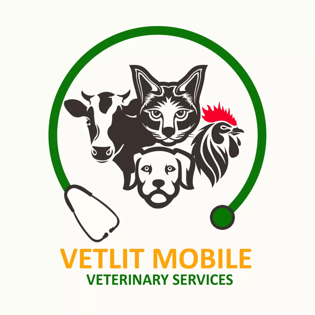 Mobile Vet Services Uganda | Pet Healthcare at Home - Vetlit